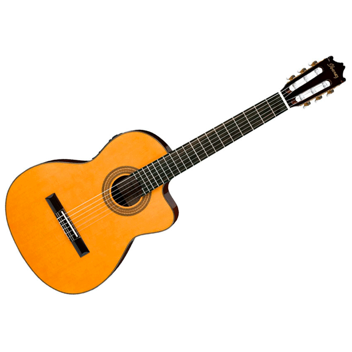 GA6CE-AM Guitarra Electro acustica marca Ibanez - TECNOVA
