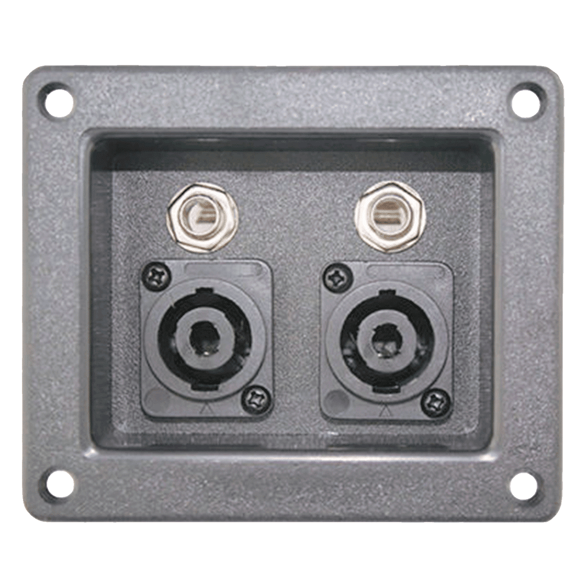 NB-519 Placa para caja de parlante con 2 conectores Speakon y 2 plug 1/ ...